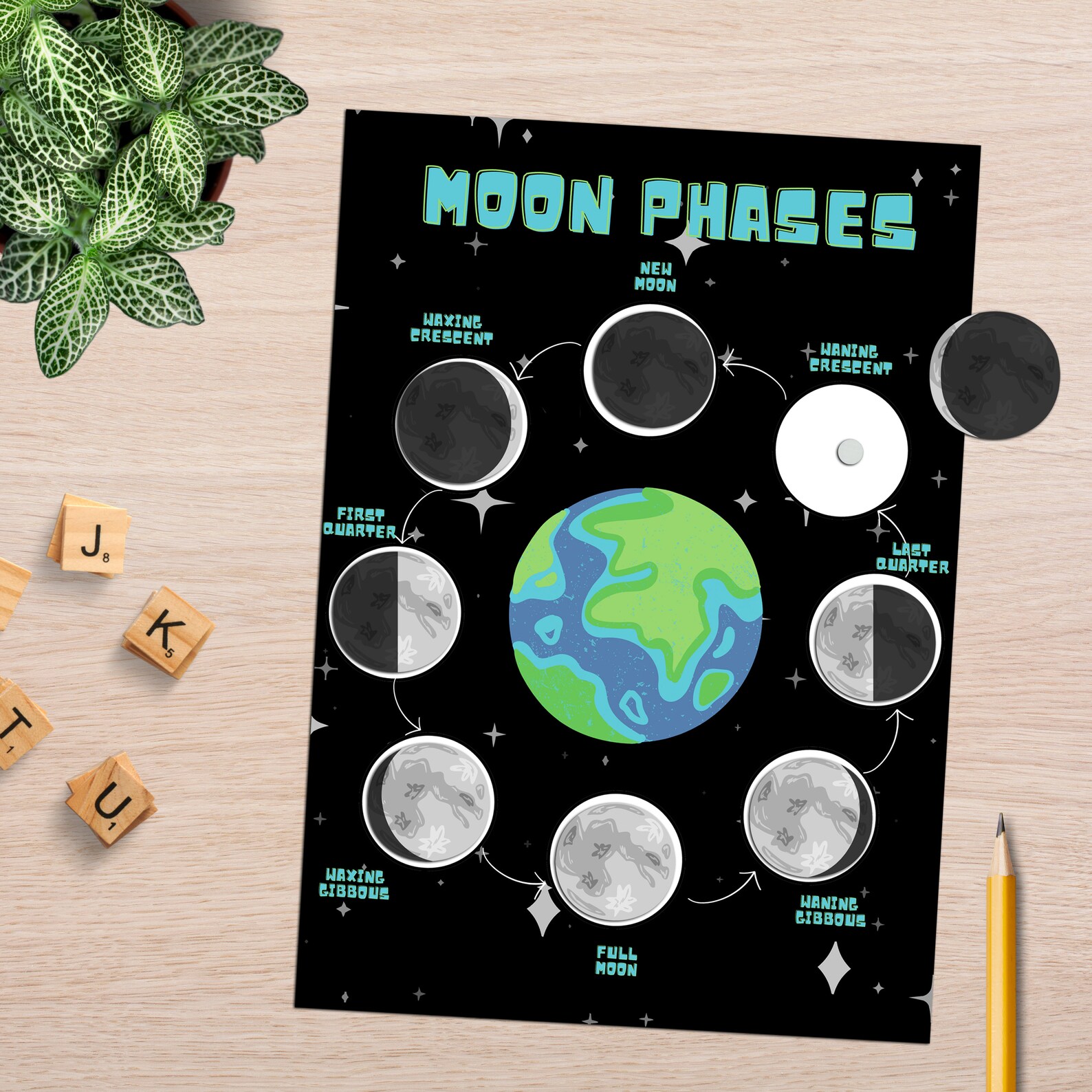 Printable Moon Phases Activity, Astronomy Educational Prints, Fun ...