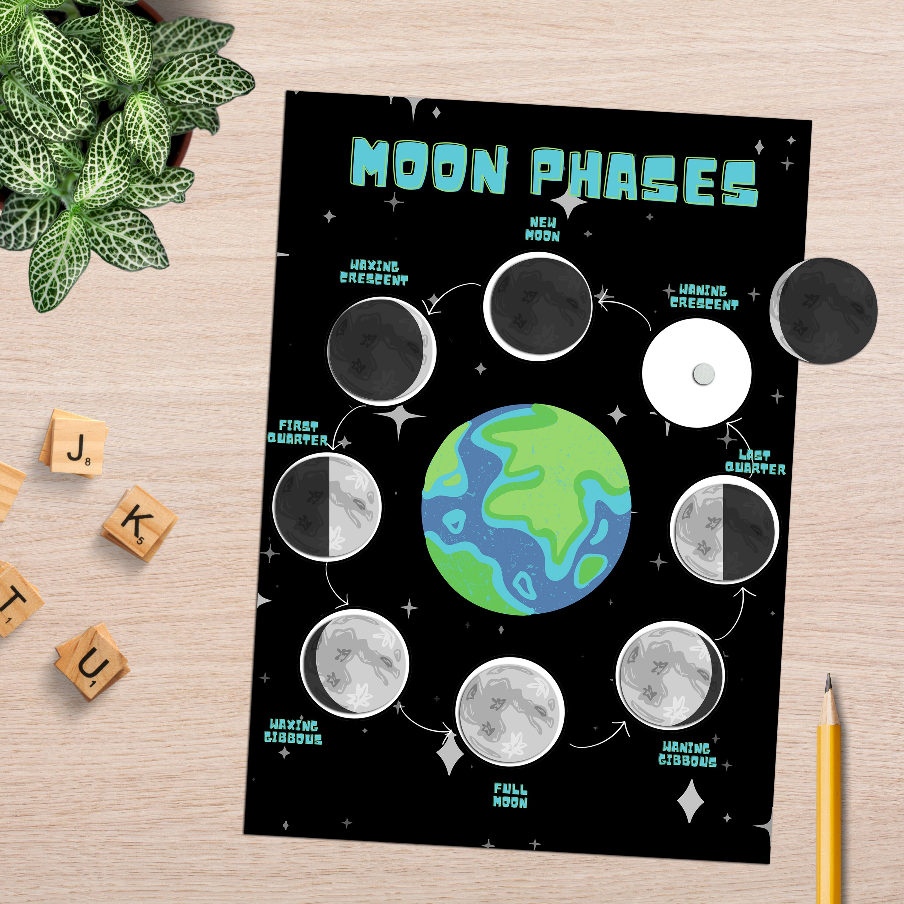 Printable Moon Phases Activity, Astronomy Educational Prints, Fun ...