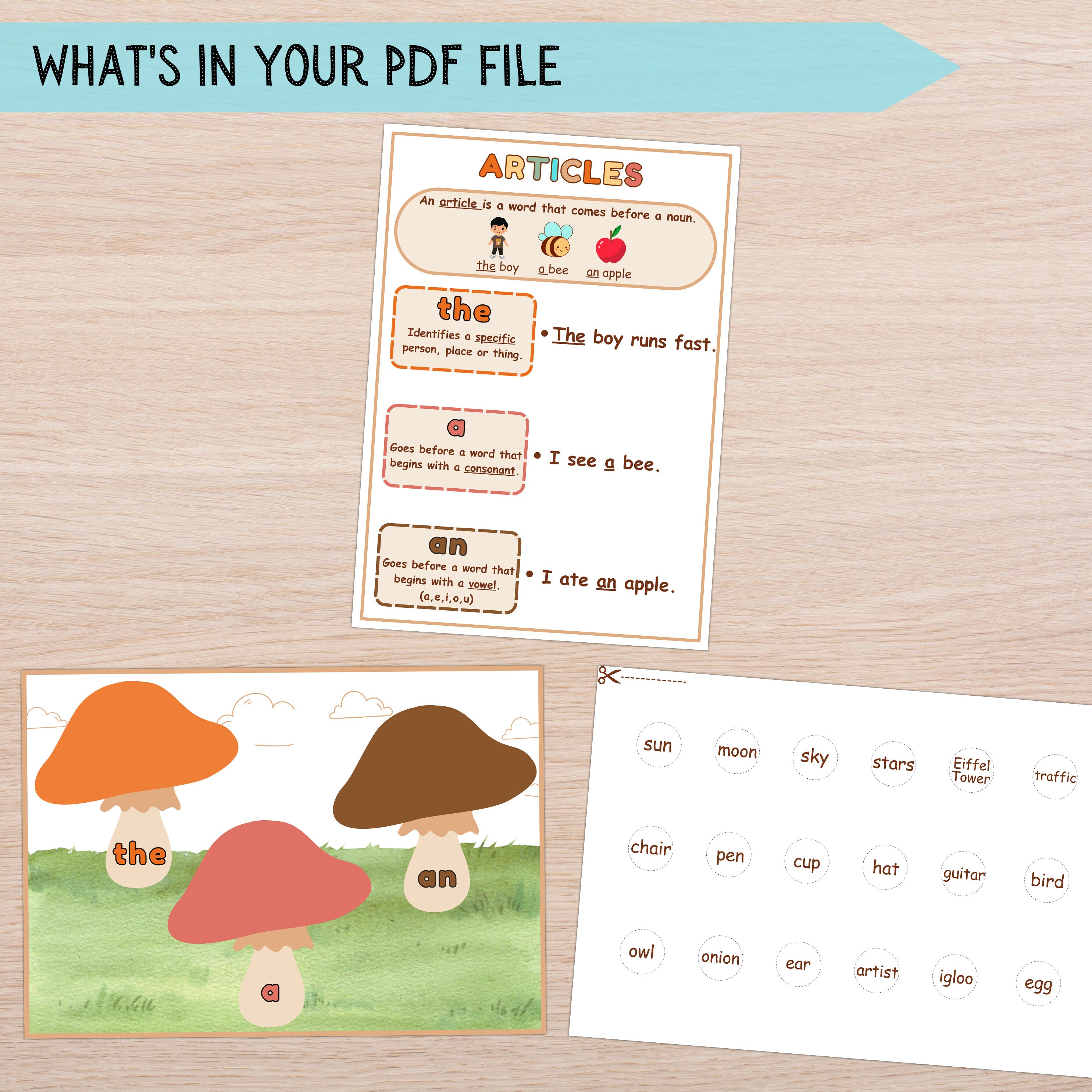 English Grammar Articles Matching Game: Montessori Homeschool Activity ...
