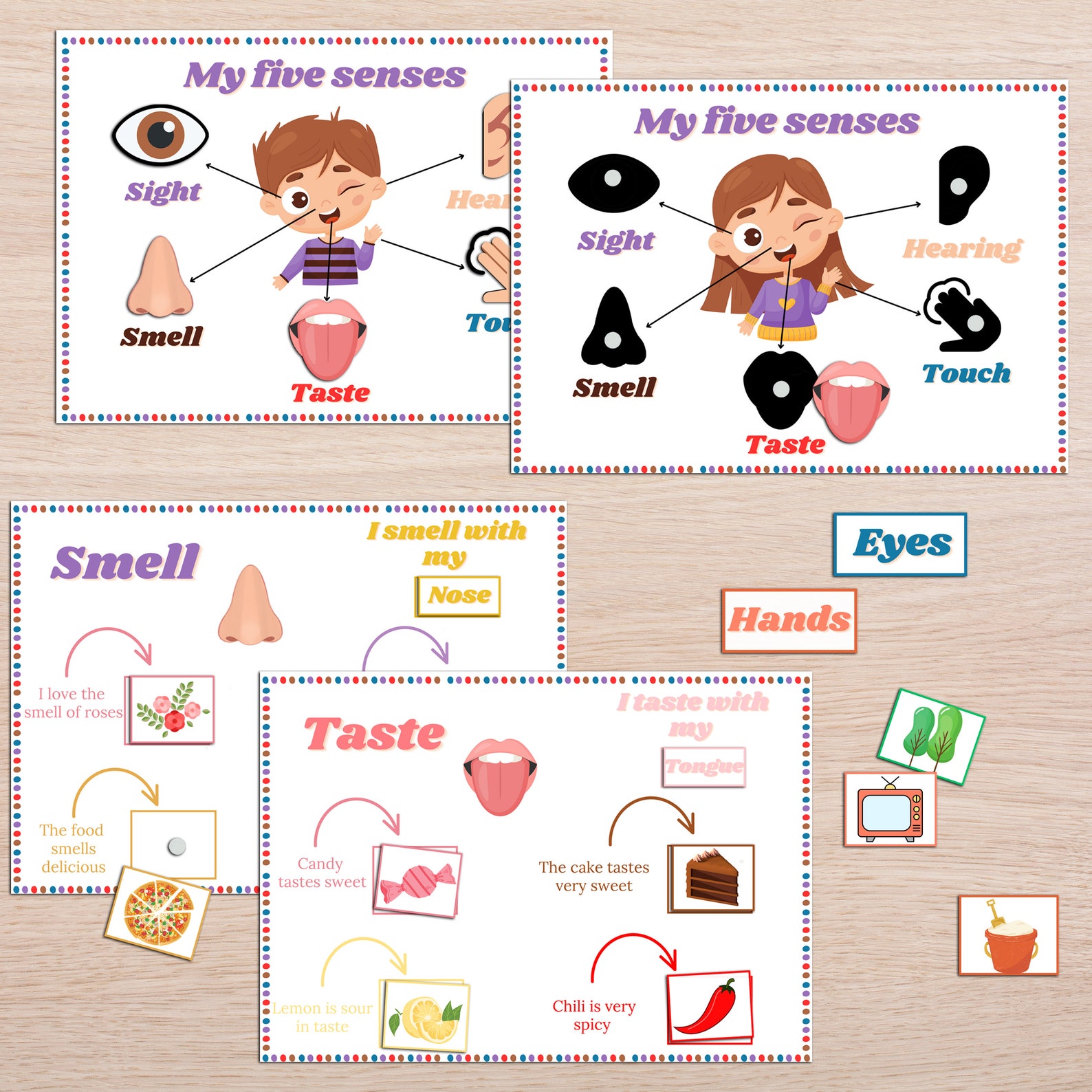Five Senses Printable Learning, 5 Senses Sorting Activity, Preschool ...
