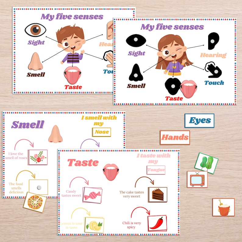 Five Senses Printable Learning, 5 Senses Sorting Activity, Preschool ...