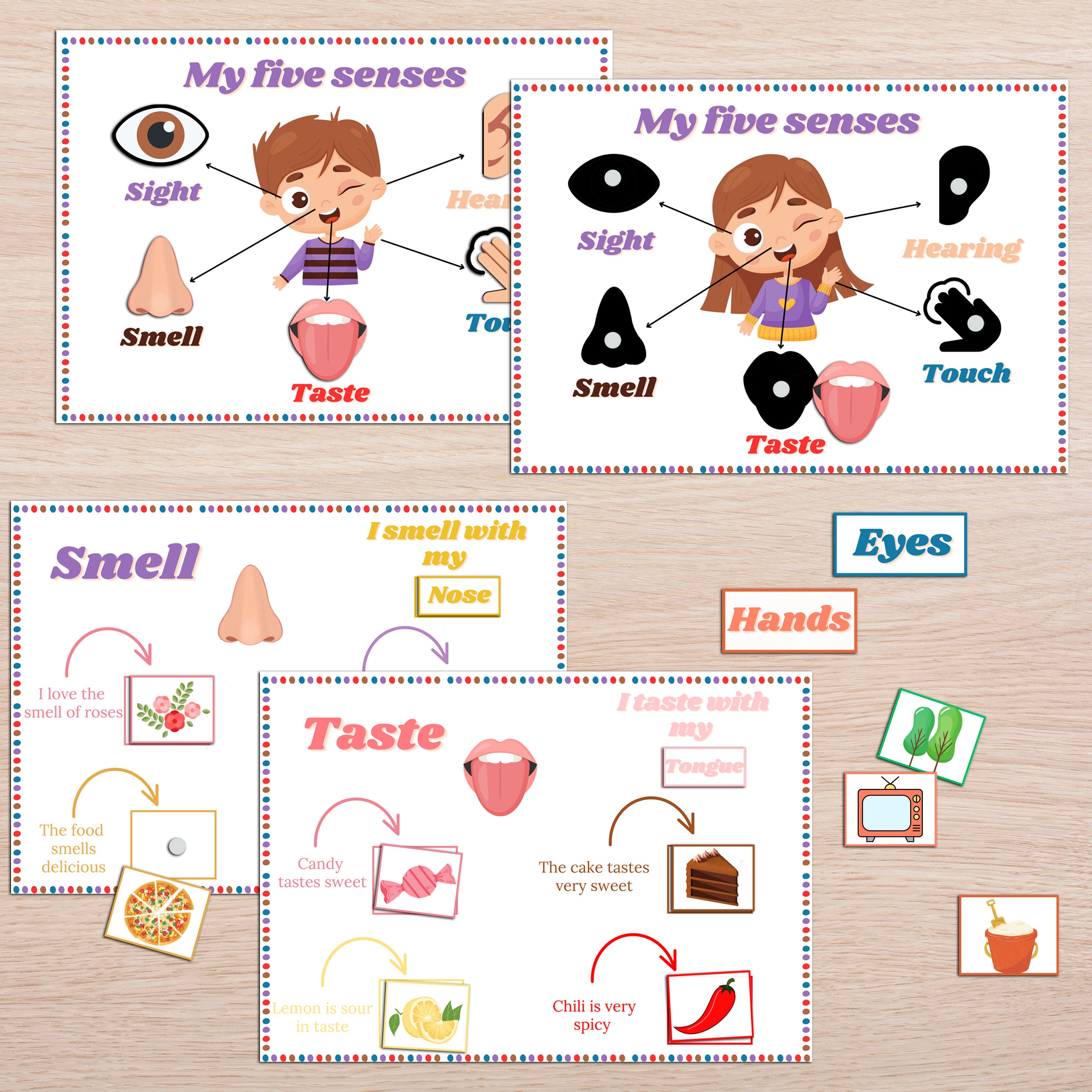 Five Senses Printable Learning, 5 Senses Sorting Activity, Preschool ...