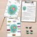Animal Cell Structure Diagram Biology Lesson for Kids, Science Unit ...