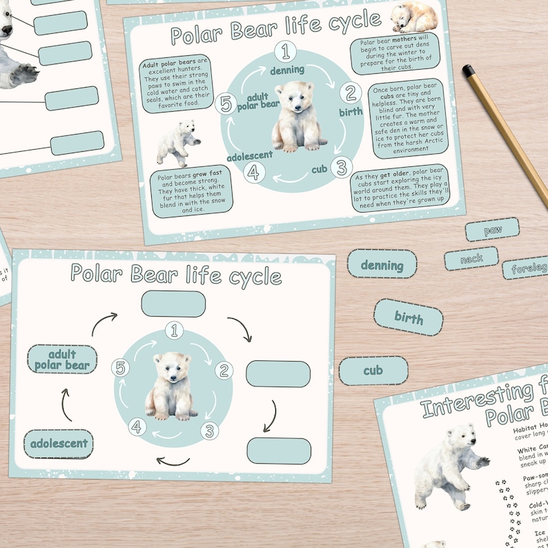 Polar Bear Unit Study Kids, Winter Christmas Activity, Homeschool ...