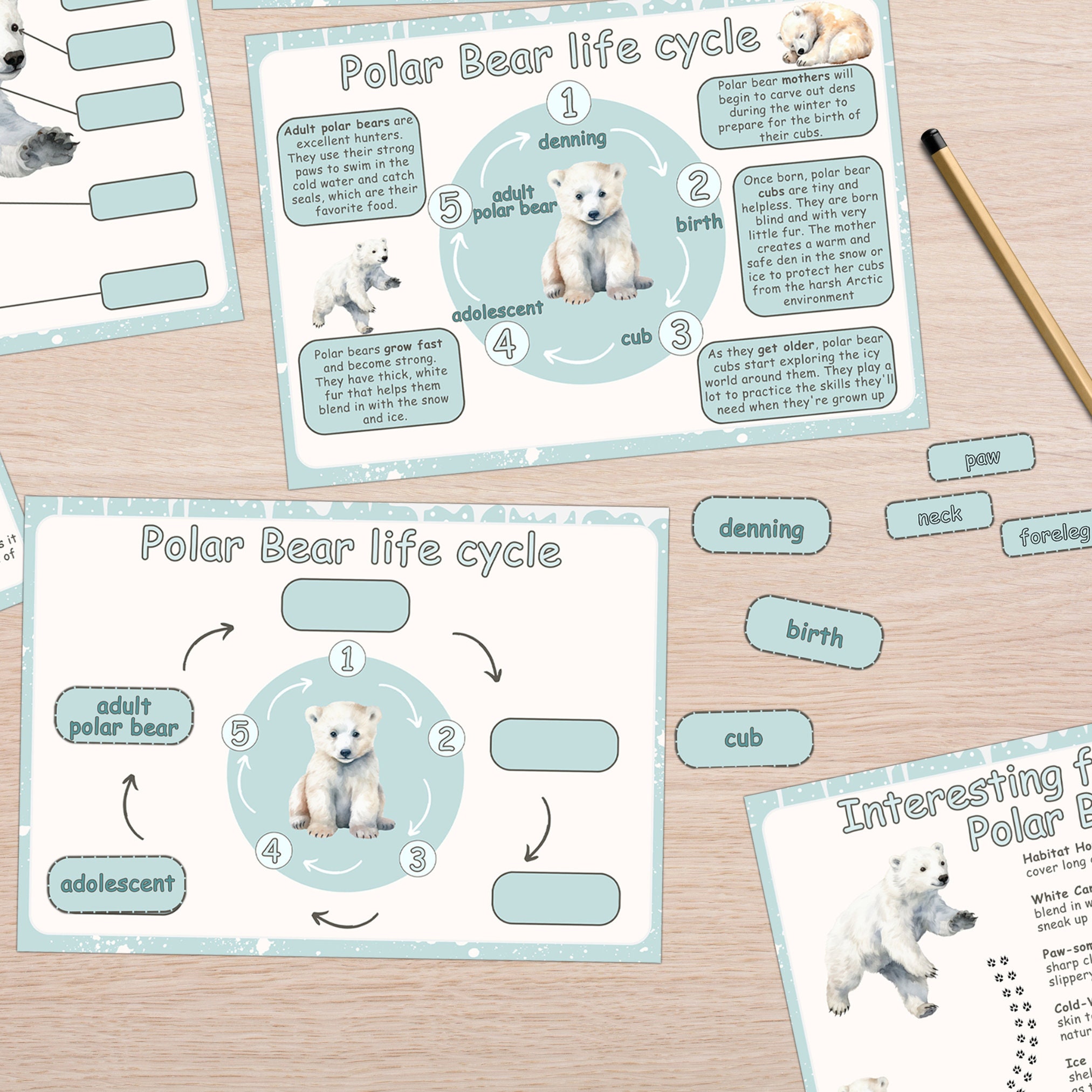 Polar Bear Unit Study Kids, Winter Christmas Activity, Homeschool ...
