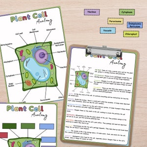 Plant Cell Structure Activity, Plants Biology Lesson for Kids, Nature ...