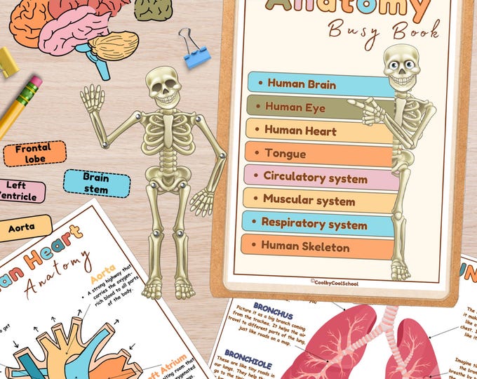 Human Anatomy, Busy Book, Human Body Game, Brain Anatomy, Homeschool ...