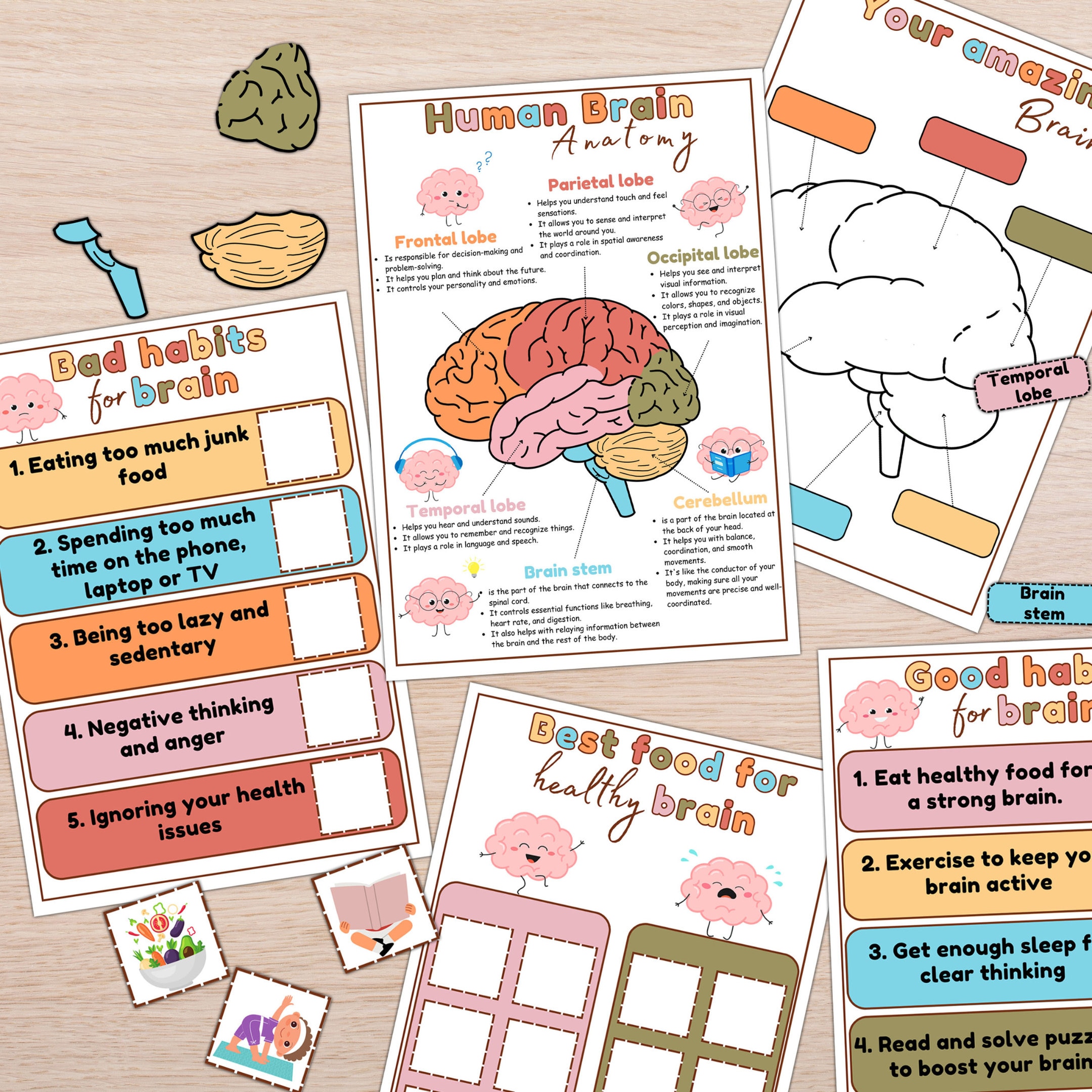 Anatomy Mega Bundle for Kids, Interactive Anatomy Busy Book, Learning ...