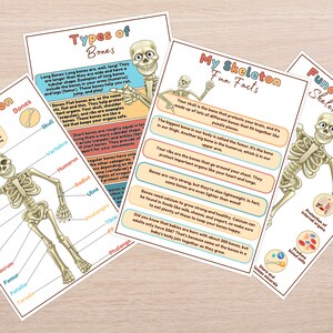 Human Skeleton Anatomy Learning Bundle, Skeleton Activity, Kids Bones ...