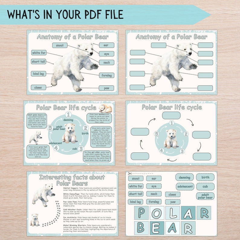 Polar Bear Unit Study Kids, Winter Christmas Activity, Homeschool ...