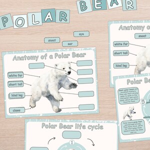 Polar Bear Unit Study Kids, Winter Christmas Activity, Homeschool ...