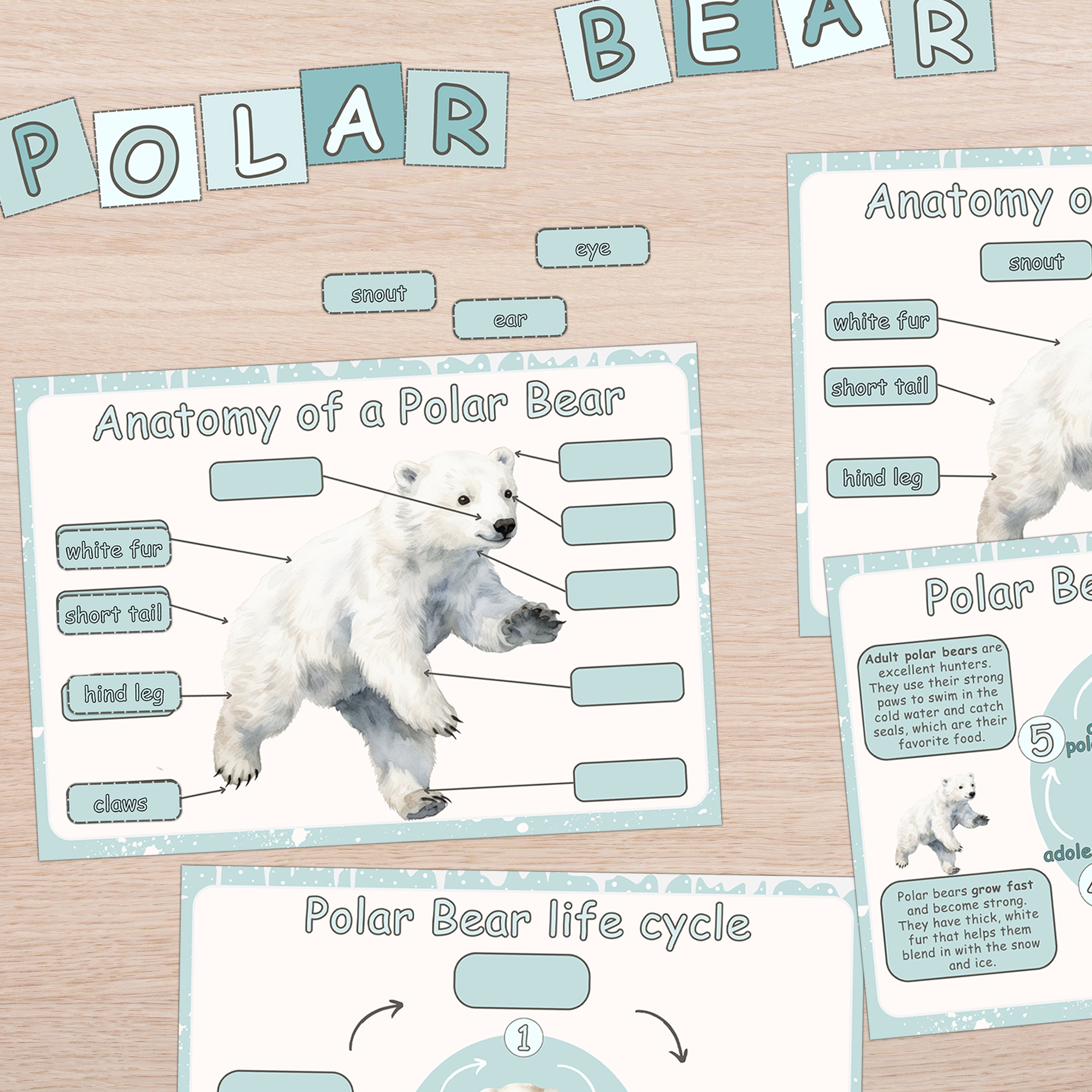 Polar Bear Unit Study Kids, Winter Christmas Activity, Homeschool ...