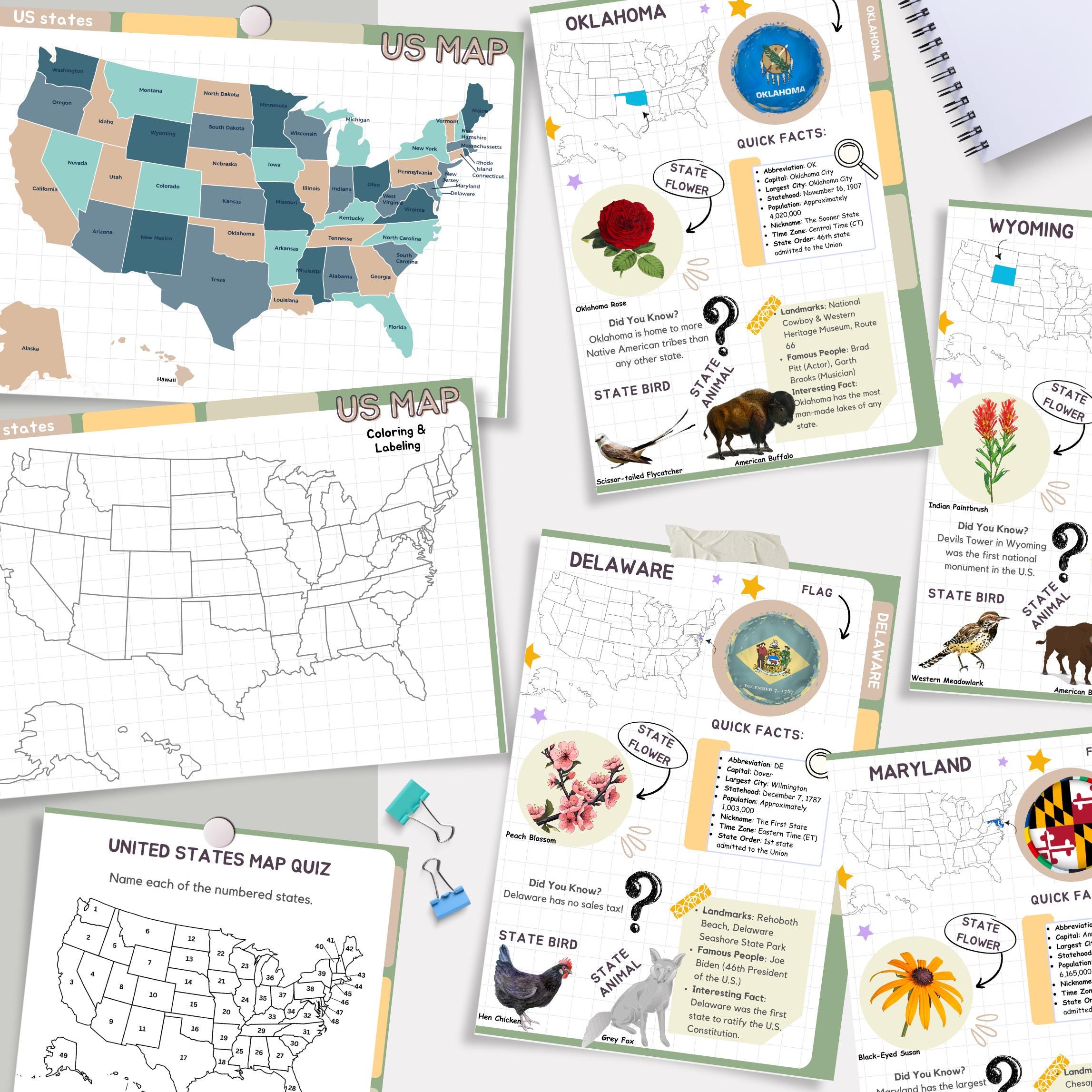 US States Unit Study: United States, 50 States Printable Pack for Kids ...