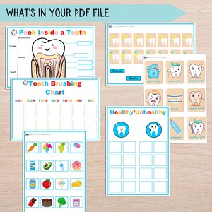 Dental Health Printable Activity for Kids, Tooth Anatomy, Montessori ...