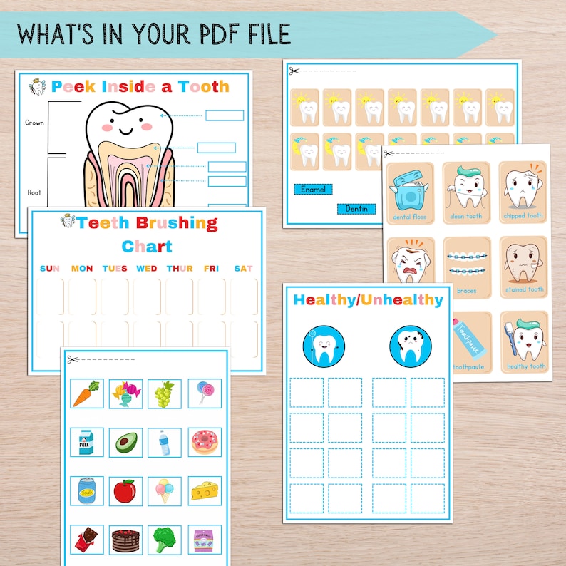 Dental Health Activity Printables: Tooth Anatomy, Oral Care (PDF ...