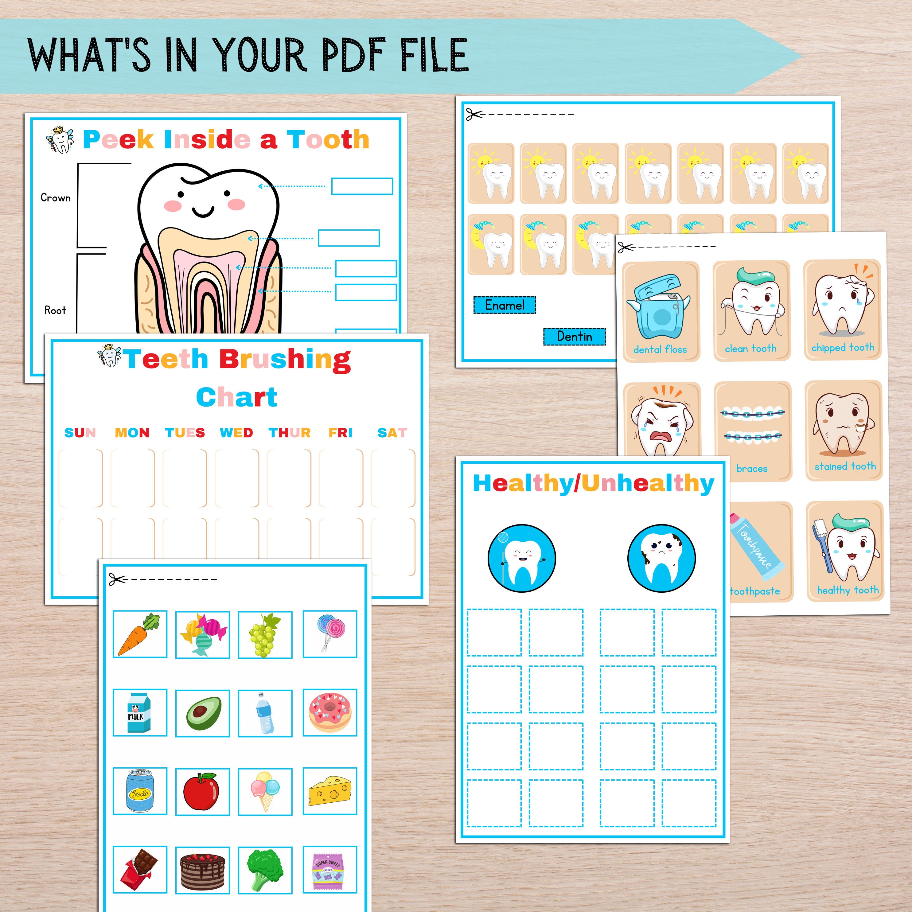 Dental Health Printable Activity for Kids, Tooth Anatomy, Montessori ...