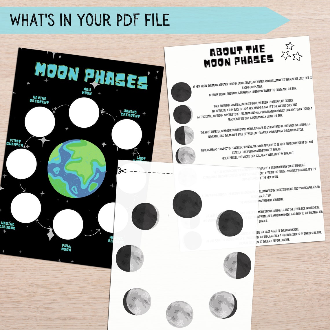 Printable Moon Phases Activity, Astronomy Educational Prints, Fun ...