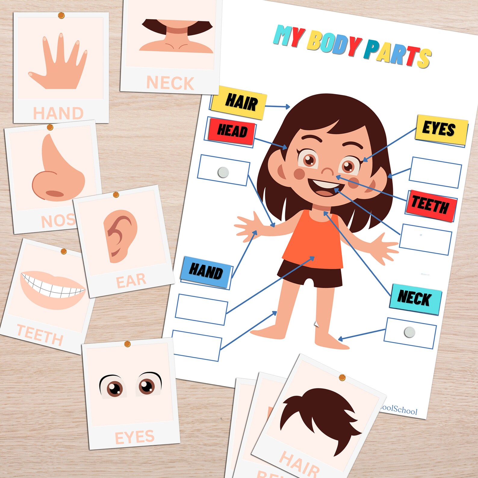 Body Parts Printable Activity, My Body Flash Cards for Toddlers ...
