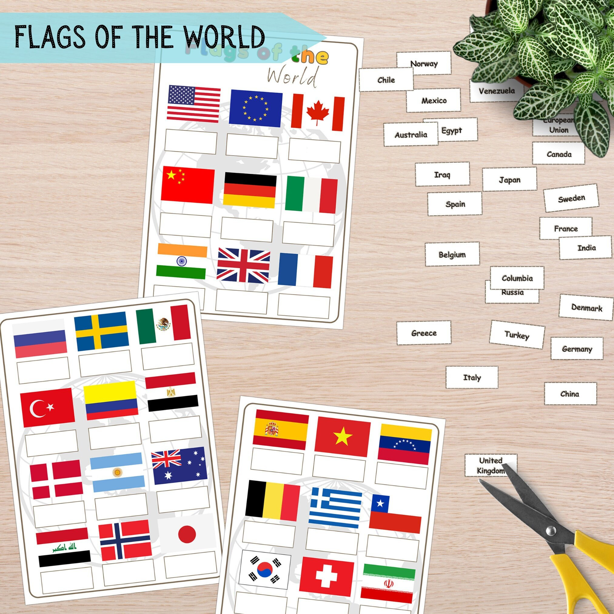 Flags of the World Learning Activity Kids Geography for Kid - Etsy
