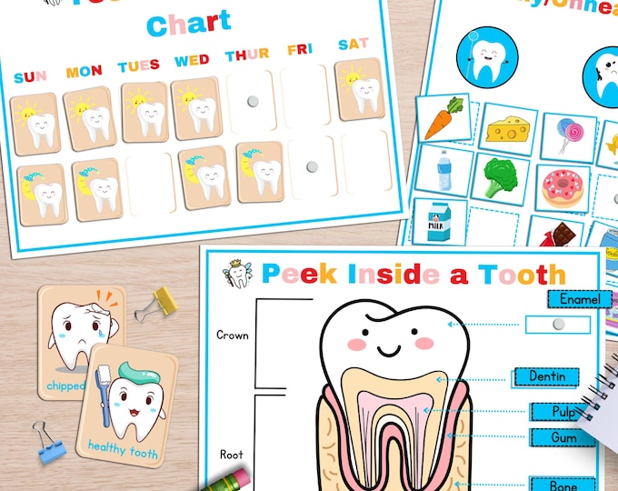 Dental Health Preschool Printable Activity Kids Anatomy Learning Binder ...