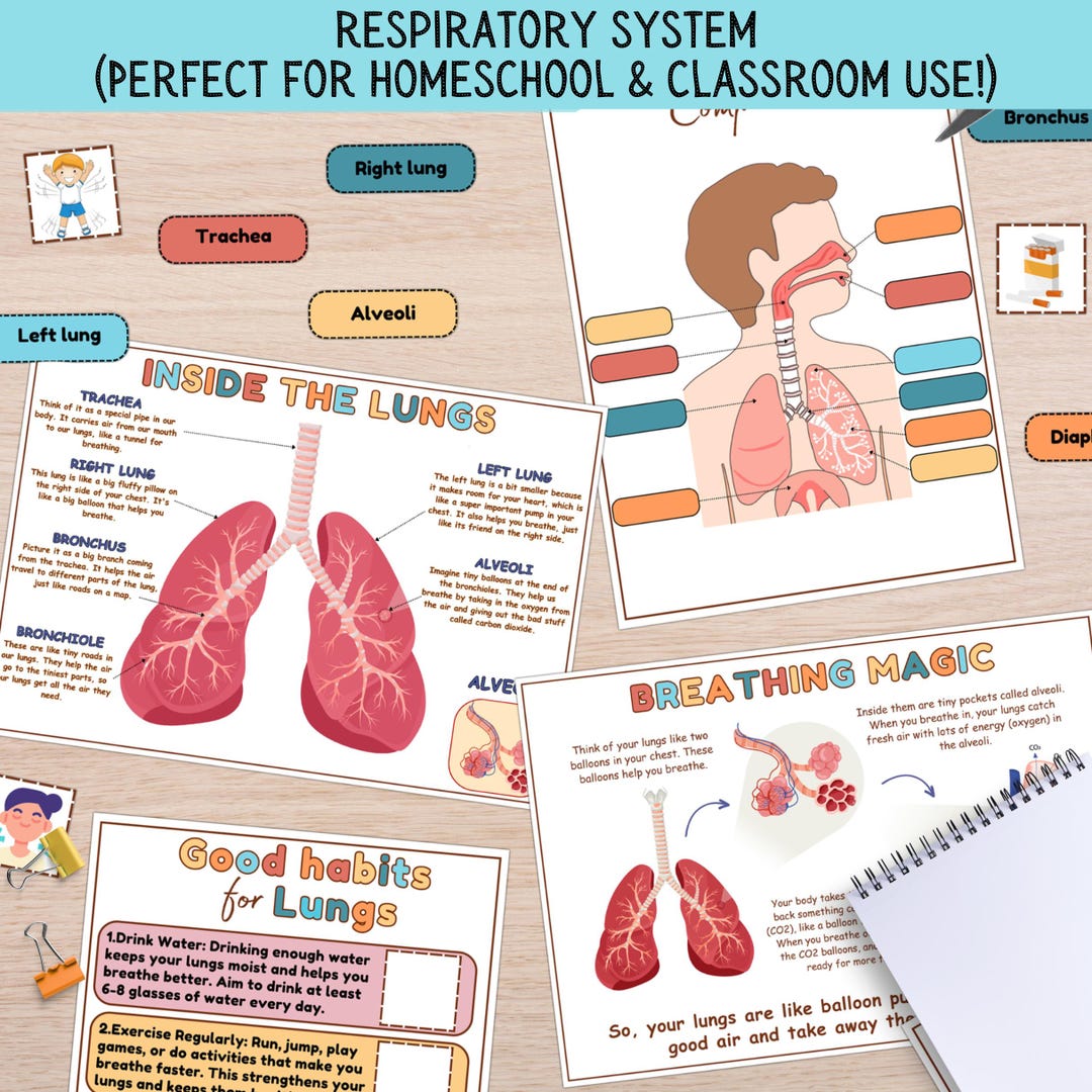 Respiratory System Learning Kit: Human Anatomy Homeschool Printable ...