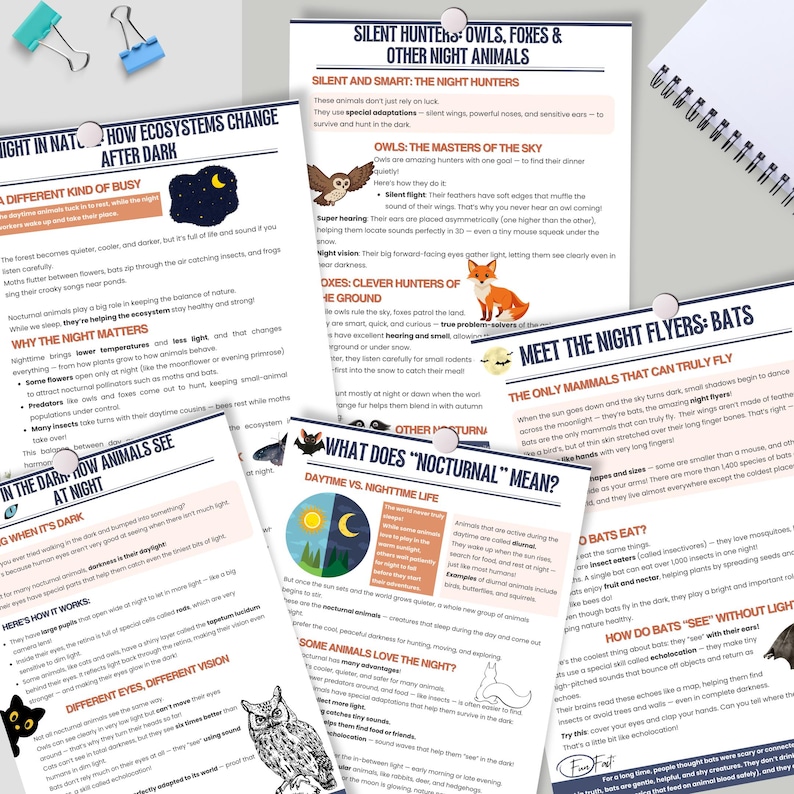 Nocturnal Animals Unit Study | Science & Literacy Activities ...