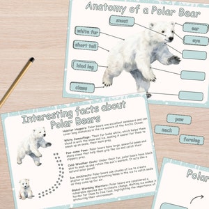 Polar Bear Unit Study Kids, Winter Christmas Activity, Homeschool ...