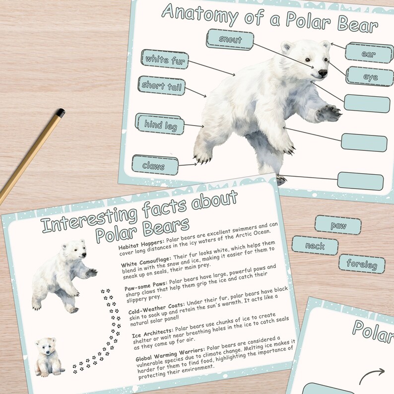 Polar Bear Unit Study Kids, Winter Christmas Activity, Homeschool ...