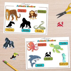 Animals Habitat Sorting Activity for Kids, Learning Animals for ...