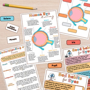 Anatomy Mega Bundle for Kids, Interactive Anatomy Busy Book, Learning ...