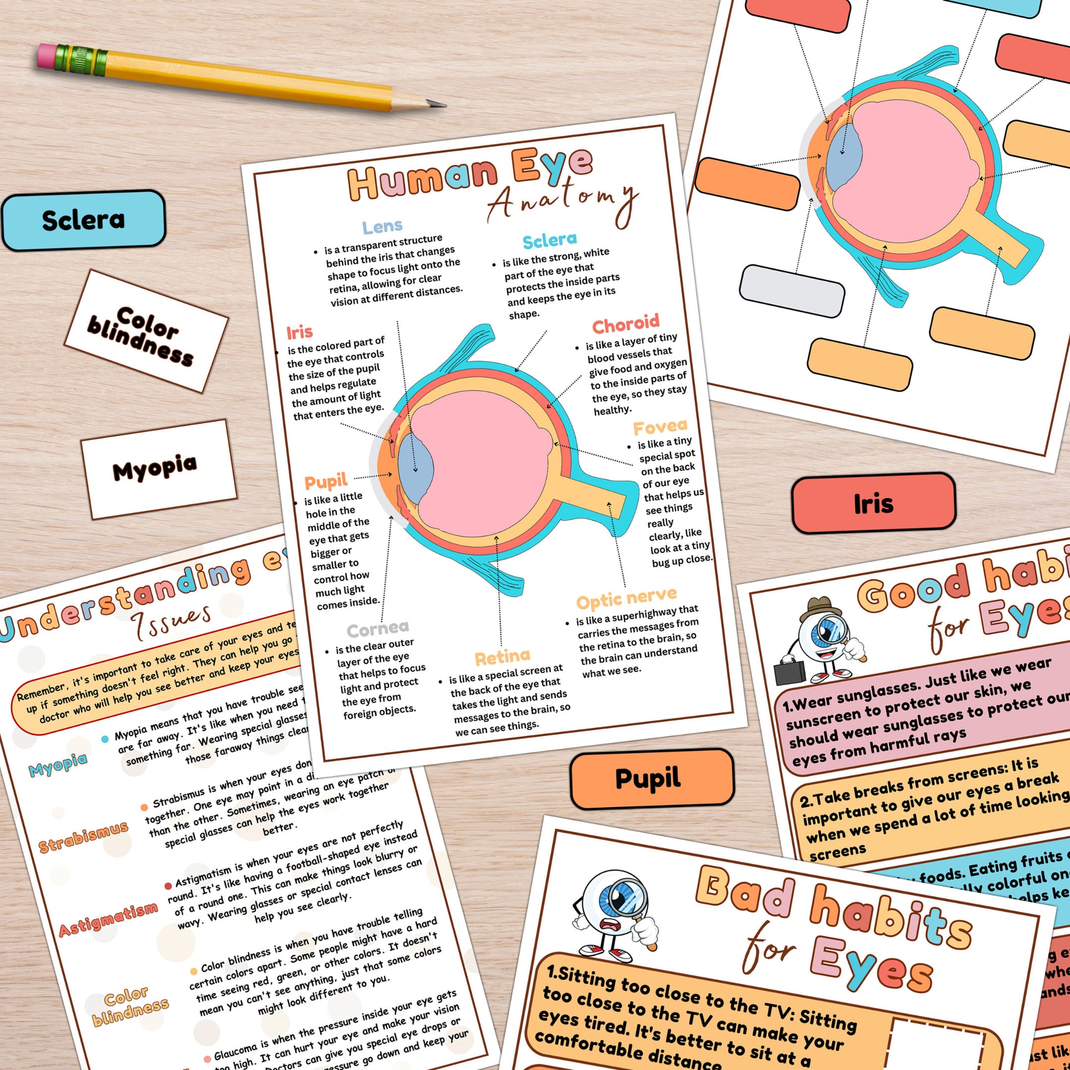 Anatomy Mega Bundle for Kids, Interactive Anatomy Busy Book, Learning ...