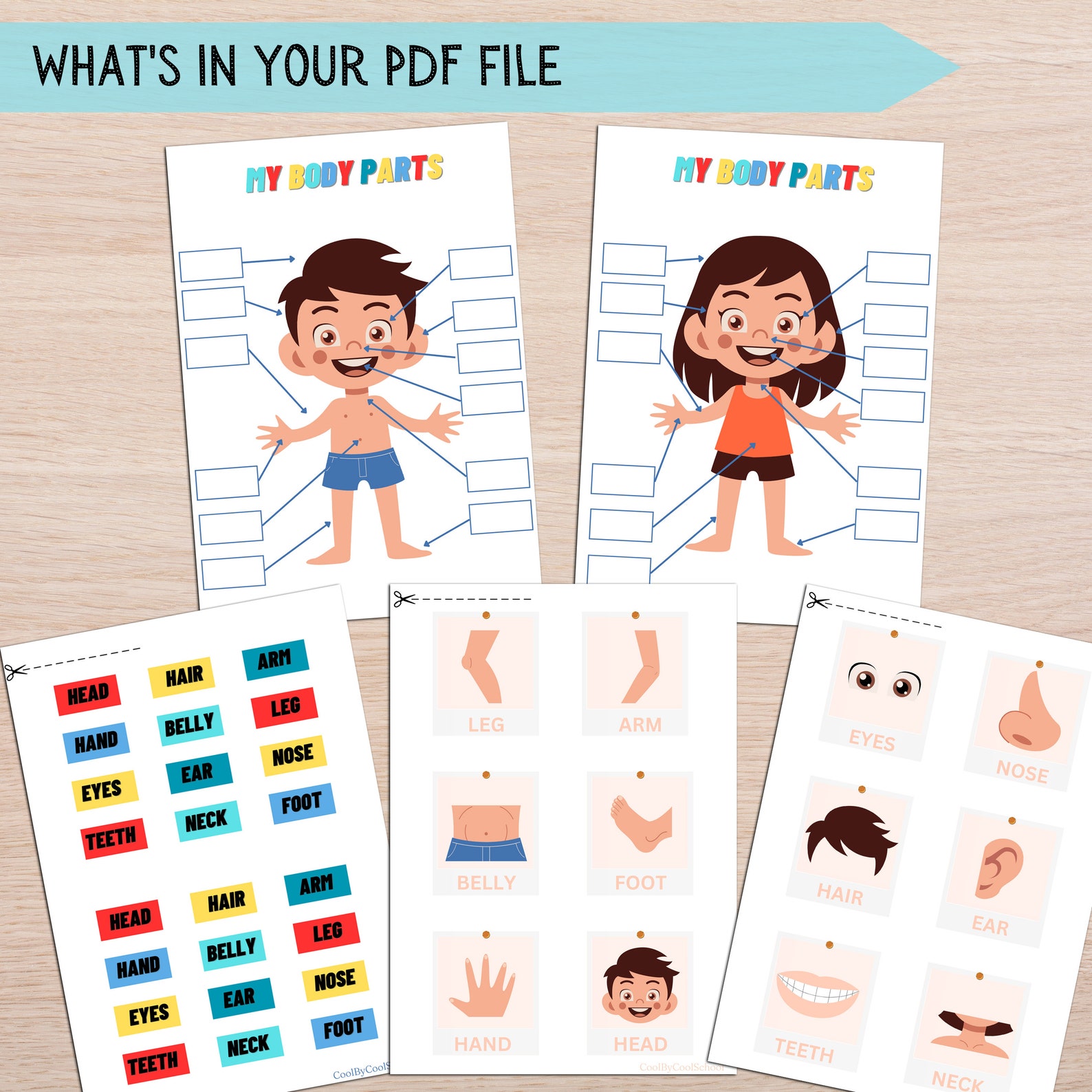 Body Parts Printable Activity, My Body Flash Cards for Toddlers ...