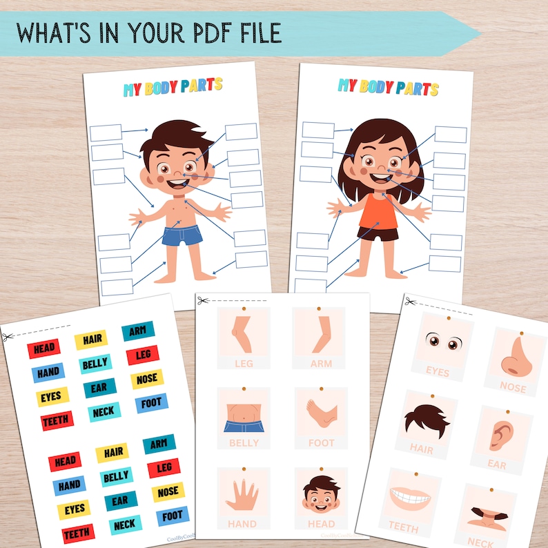 Body Parts Matching Game: Montessori Homeschool Printable Activity (PDF ...