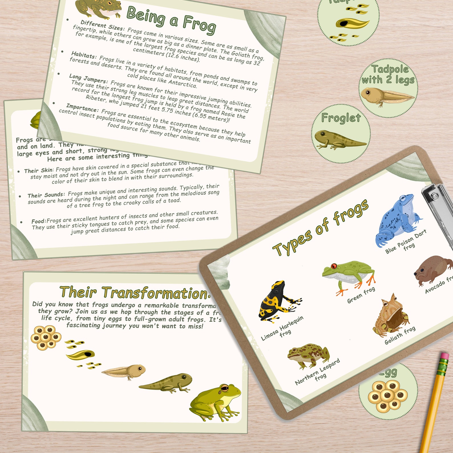 Frog Unit Study Kids, Frogs Amphibian Life Cycle & Anatomy Learning ...