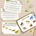 Frog Unit Study Kids, Frogs Amphibian Life Cycle & Anatomy Learning ...