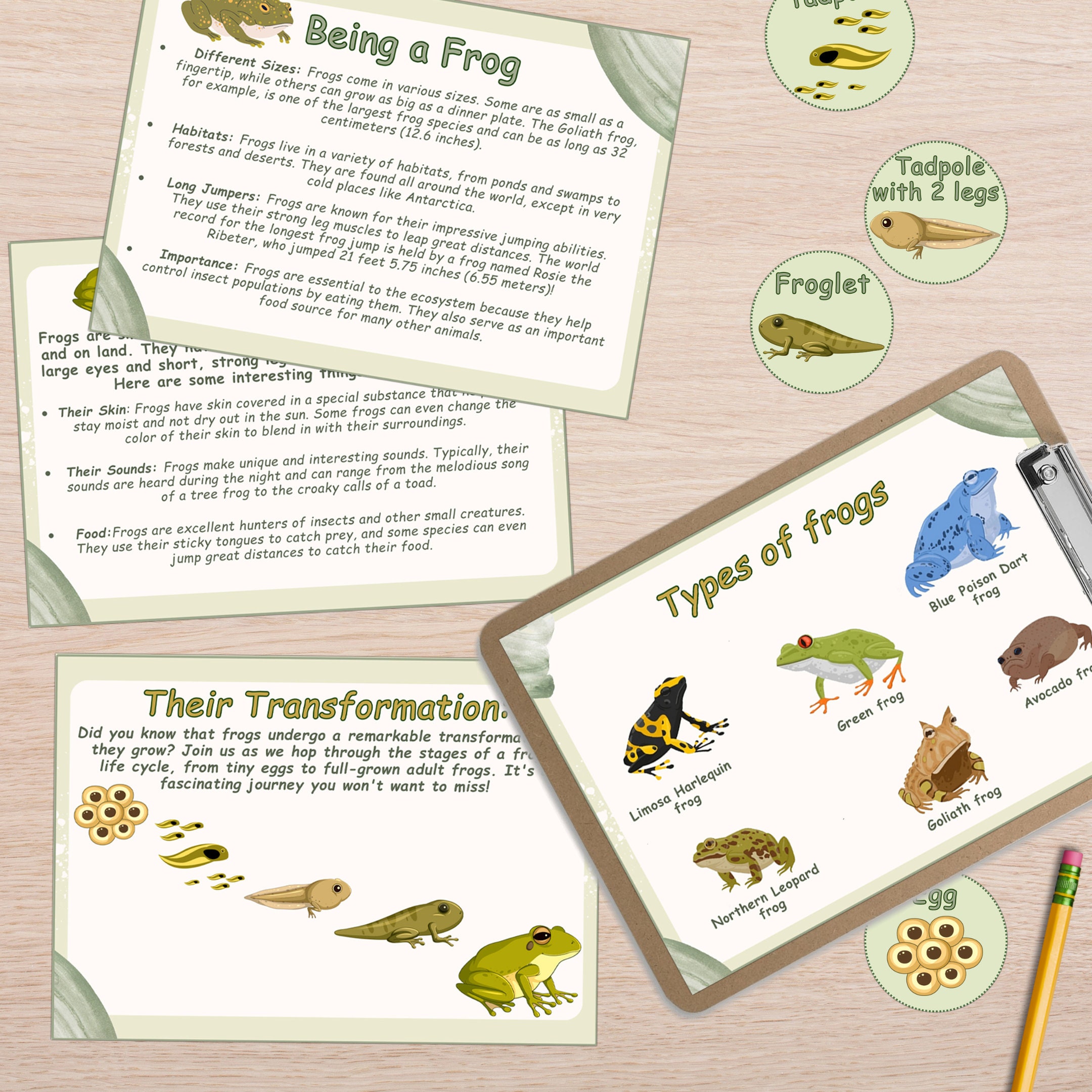 Frog Unit Study Kids, Frogs Amphibian Life Cycle & Anatomy Learning ...