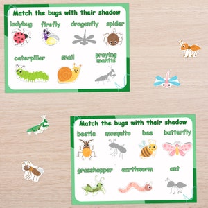 Bugs Busy Book Kids, Insects Flaschards Fun Facts, Learning Binder ...