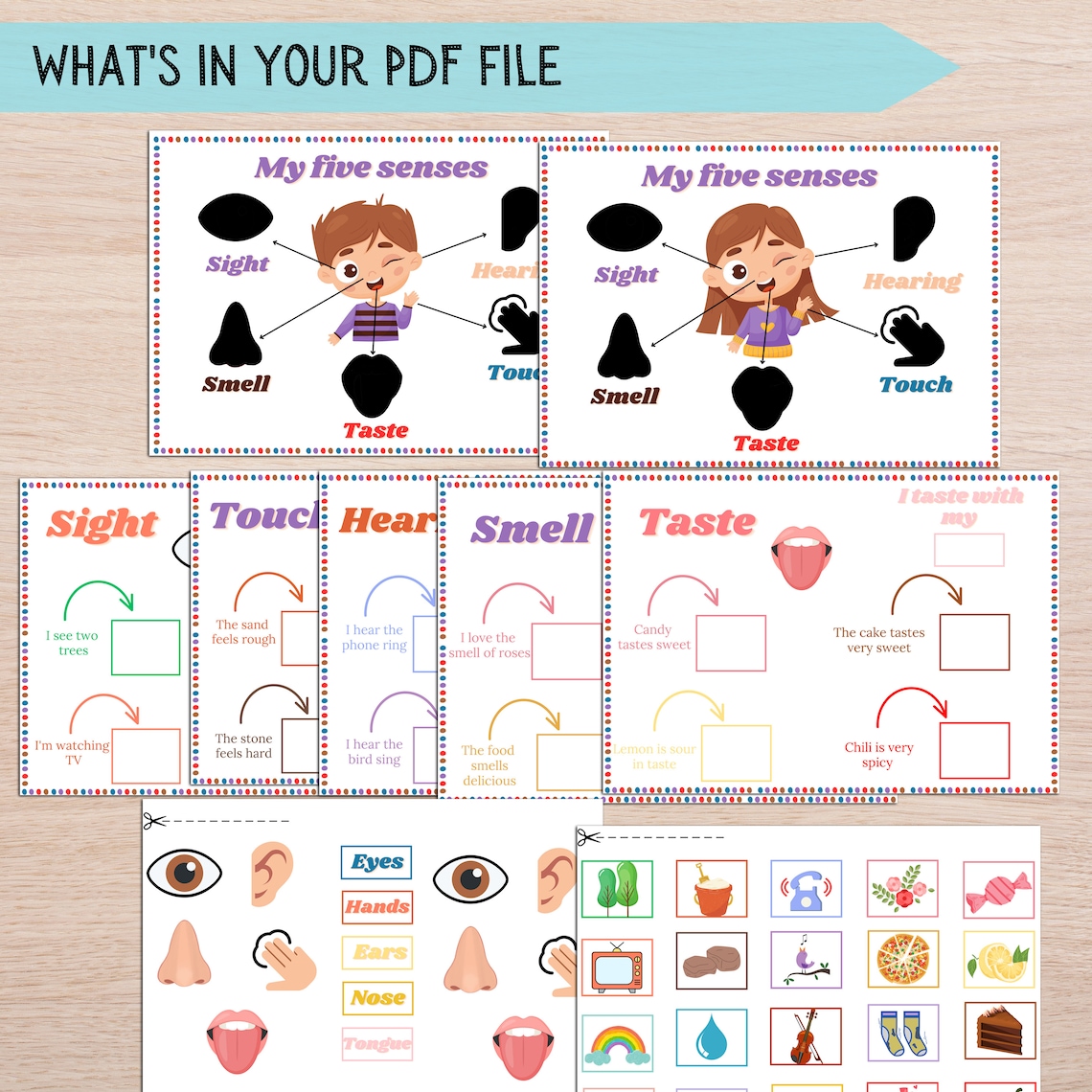 Five Senses Printable Learning, 5 Senses Sorting Activity, Preschool ...