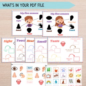 Five Senses Printable Learning, 5 Senses Sorting Activity, Preschool ...