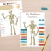 Human Skeleton Anatomy Learning Bundle, Skeleton Activity, Kids Bones ...