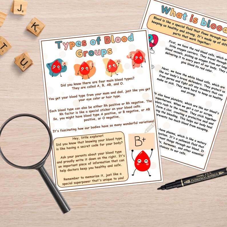 Circulatory System Activity, Blood Types & Compatibility Lesson, My ...