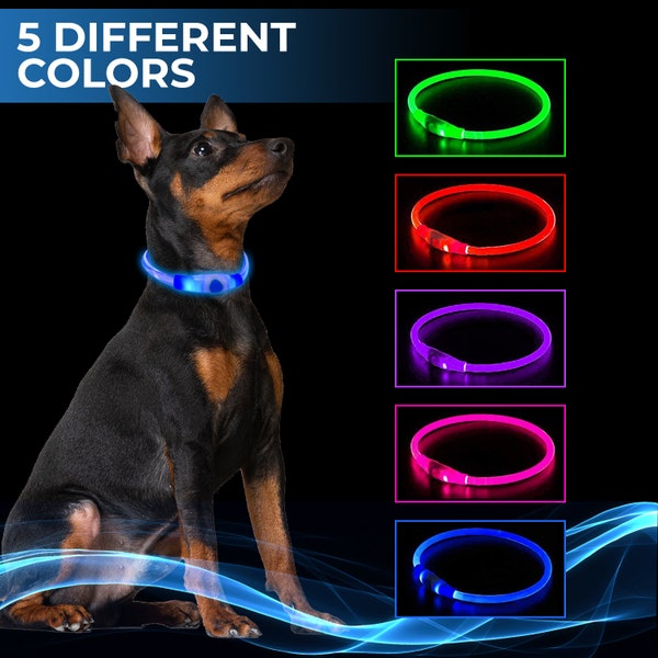 Purple Dog Collar - Etsy