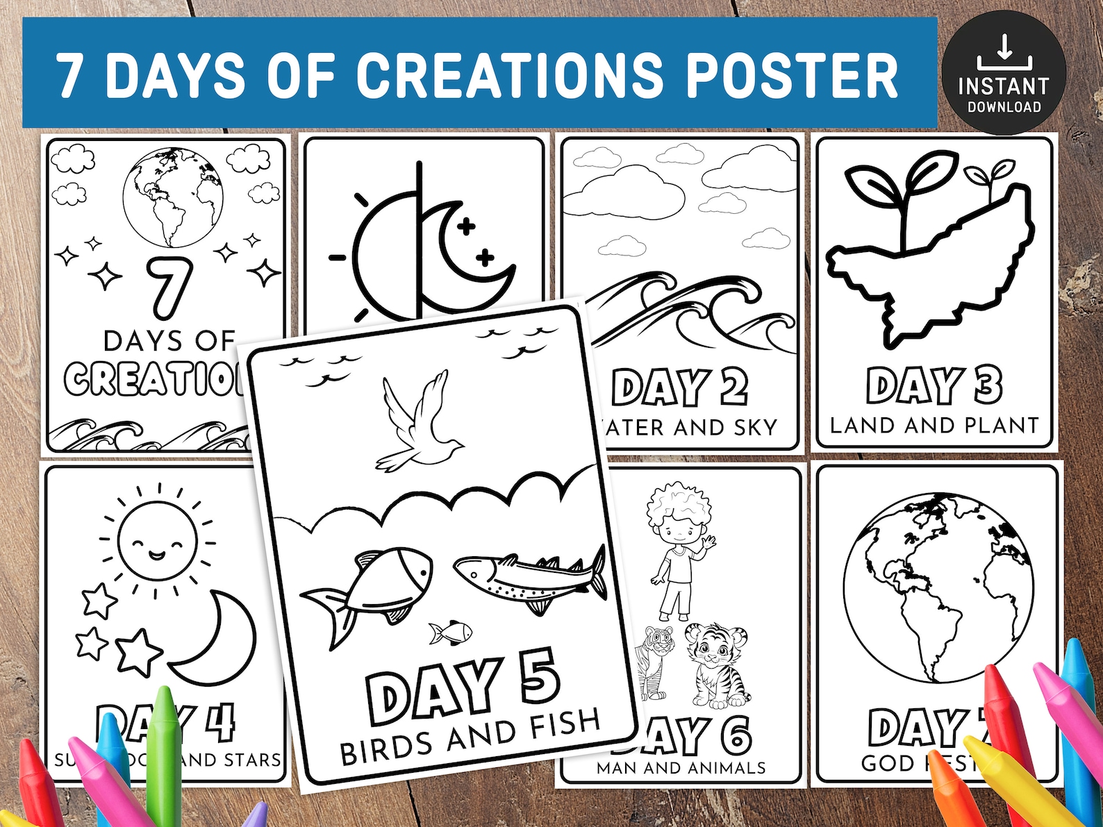 The 7 Days of Creation Flash Card, Printable Bible Activity, Watercolor ...