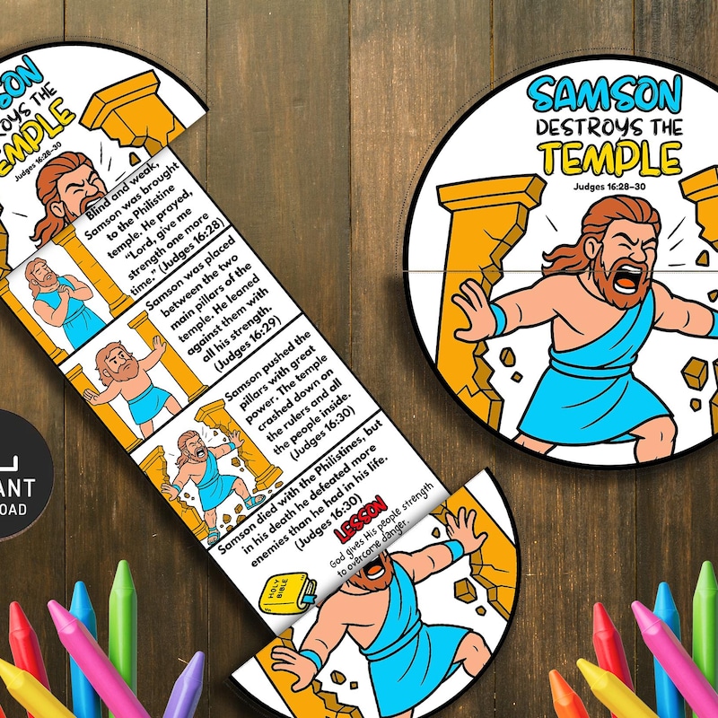Samson Bible - Etsy