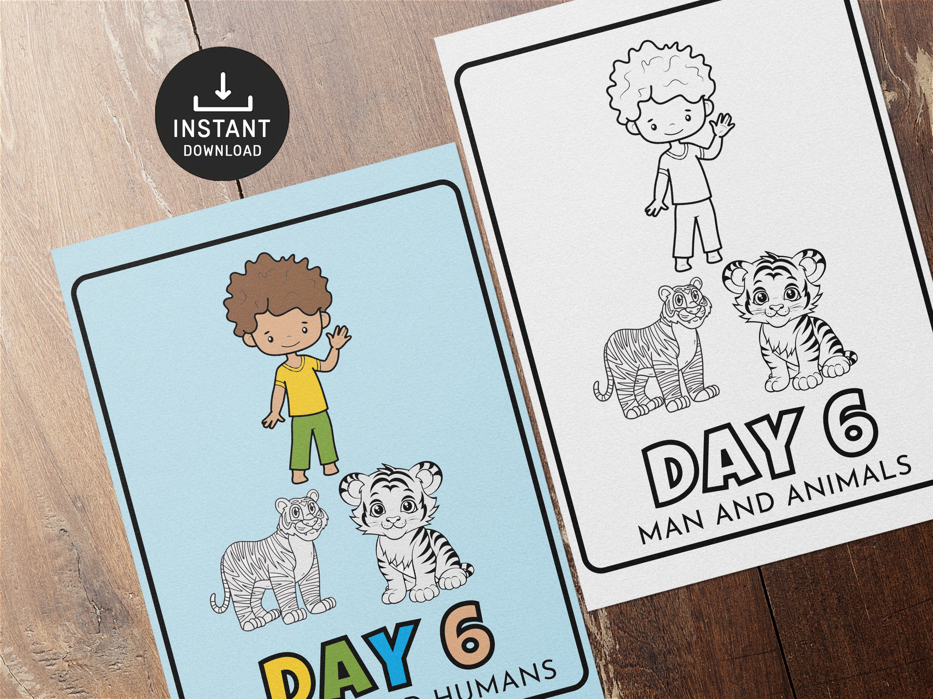 The 7 Days of Creation Flash Card Printable Bible Activity - Etsy Australia
