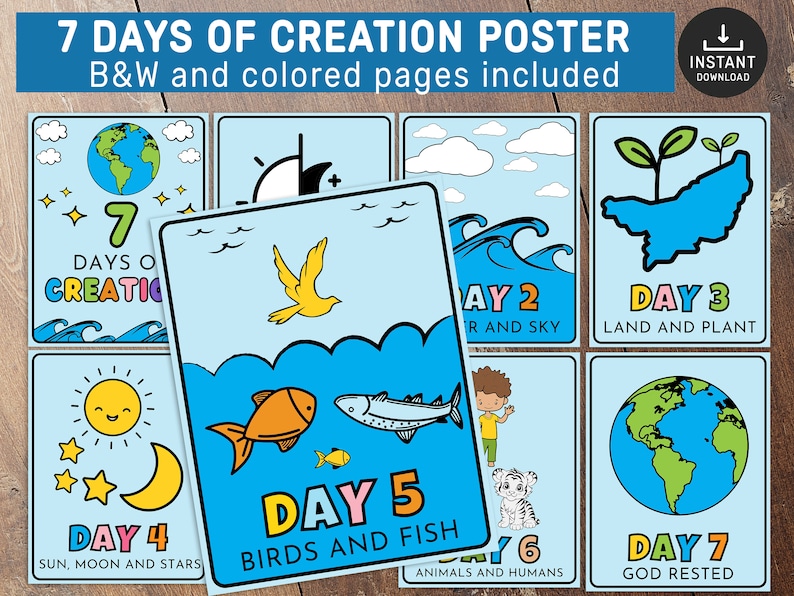 The 7 Days of Creation Flash Card Printable Bible (Instant Download) - Etsy