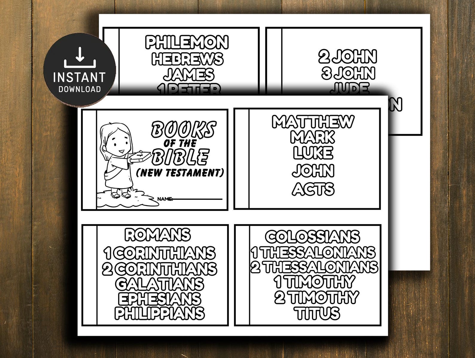 Books of the Bible, New Testament Mini Book, Printable Bible Activity ...