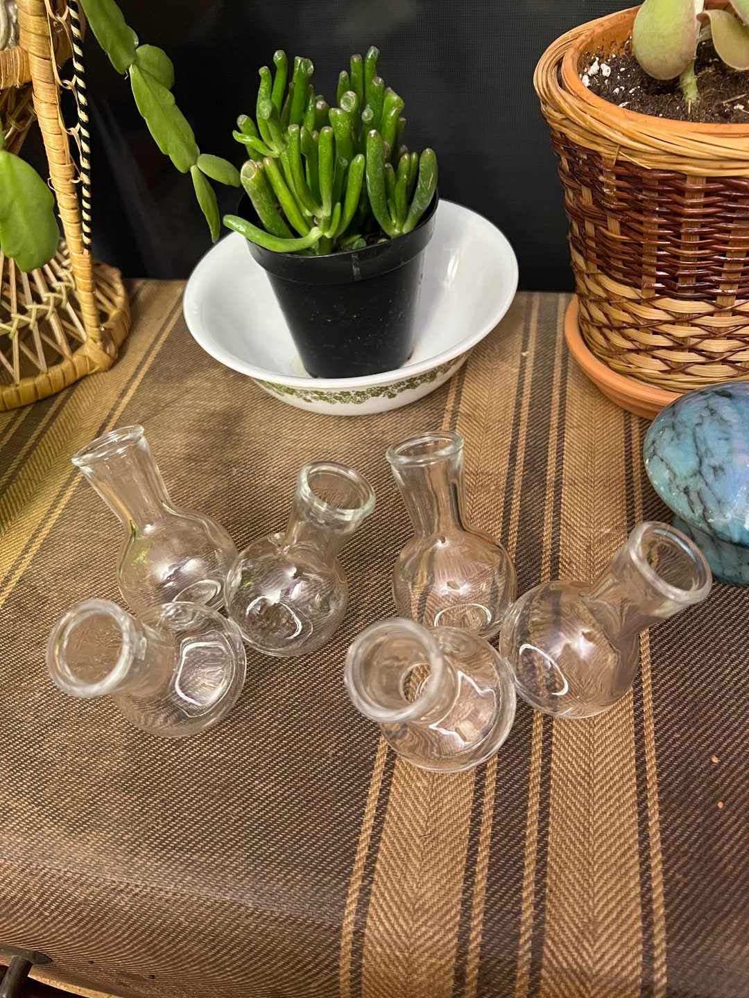 Beaker Bud Vases or Propagation Vases - Etsy