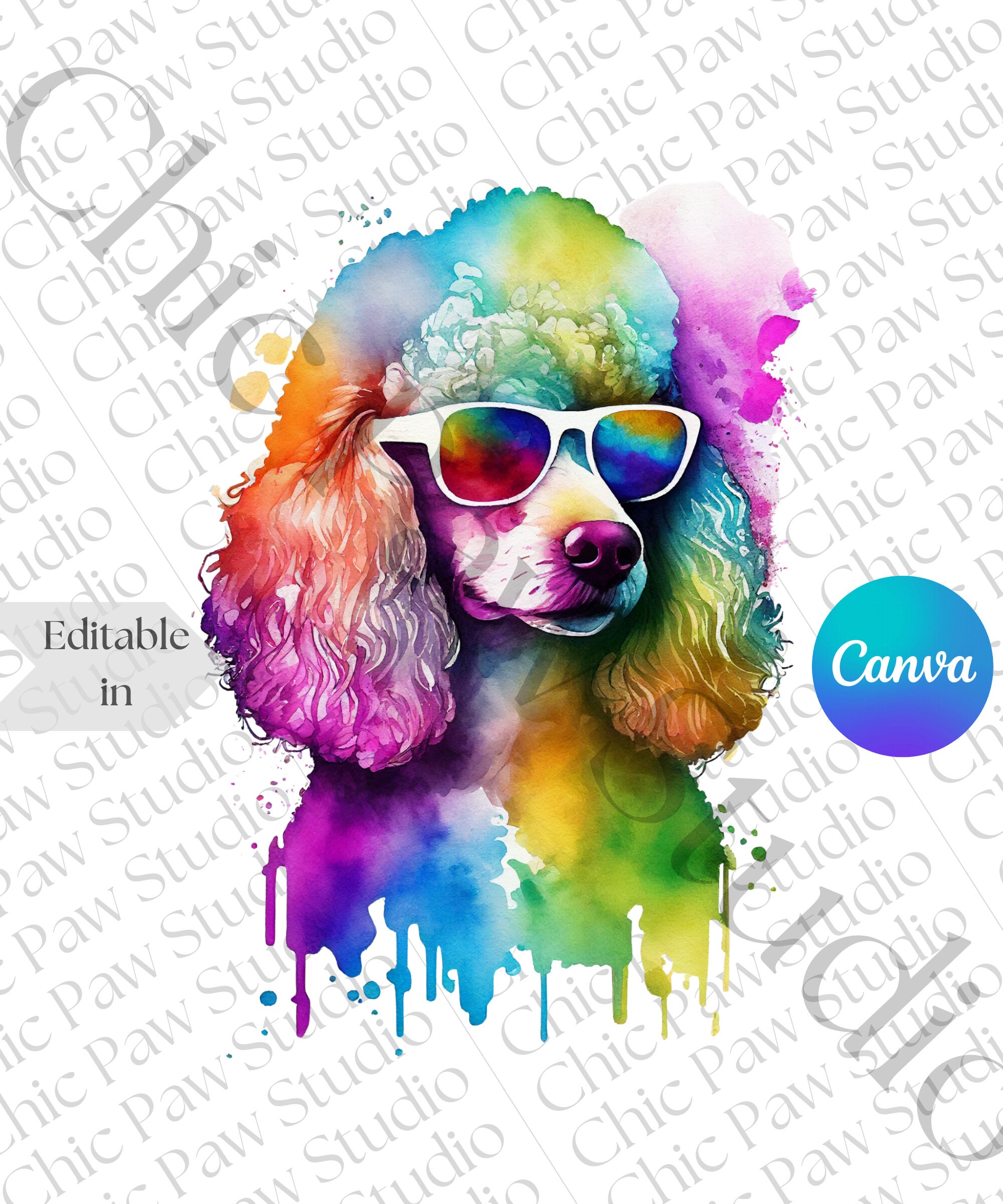 Colorful Poodle Dog PNG Hand Drawn Dog Breed PNG Poodle - Etsy
