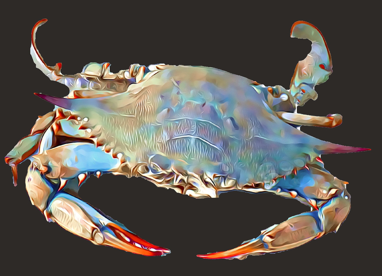 Stylized Blue Crab Digital Image on a Black Background - Etsy